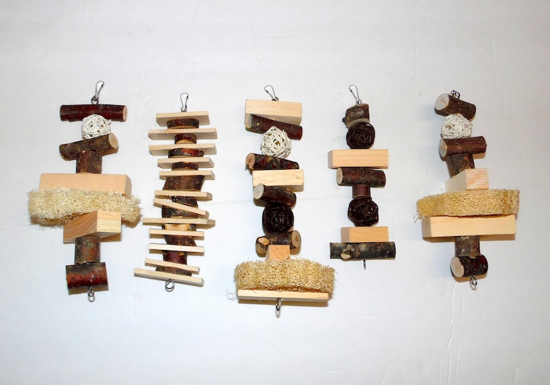Random Natural 7 Hanging Chinchilla Chew Toy Apple - Etsy