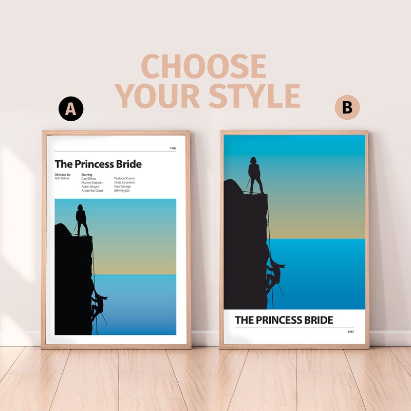 Princess Bride - Etsy