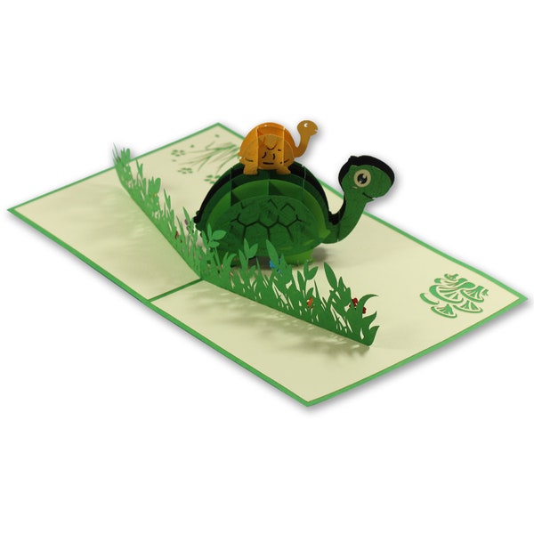 Turtle Pop up Card - Etsy