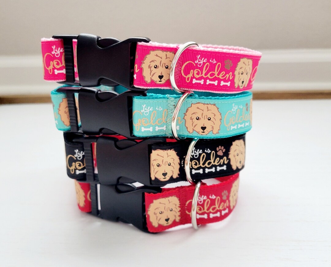 Life is Golden Dog Collar - Goldendoodle Dog Collar - Golden Retriever ...