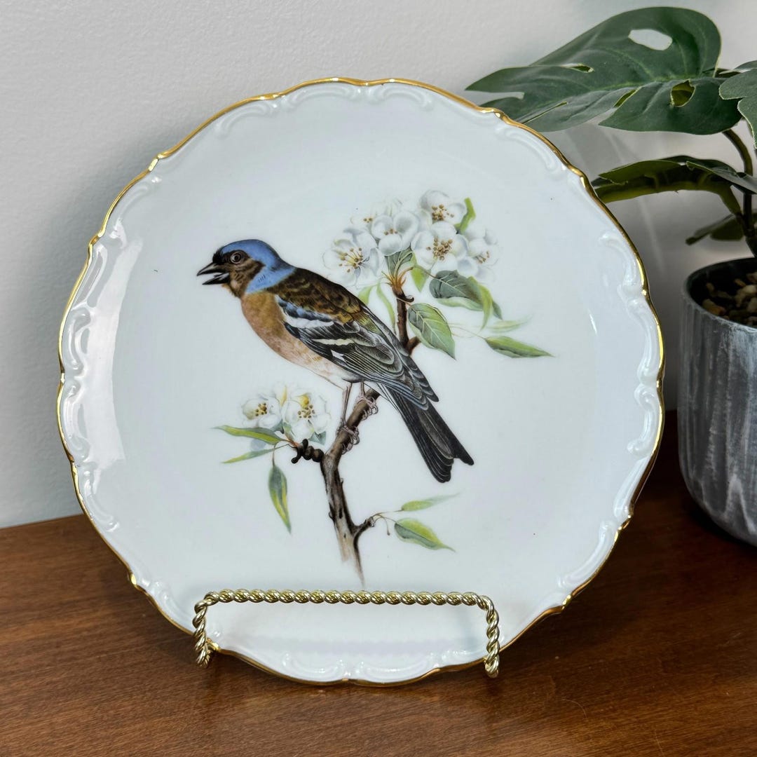 Vintage Blue Bird Plate Barvaria Schumann Arzberg Germany 7.5" E&R ...