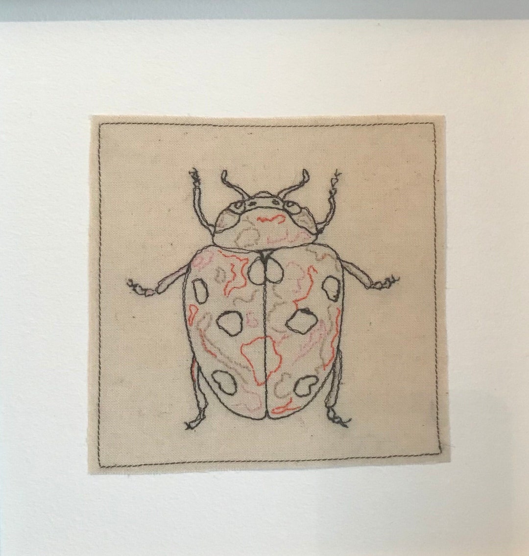 Textile Ladybird Hand Made Embroidered Framed Artwork - Etsy UK