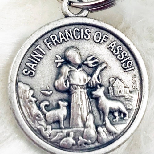 Saint St FRANCIS DOG Collar TAG Cat Pet Medal With Prayer New - Etsy