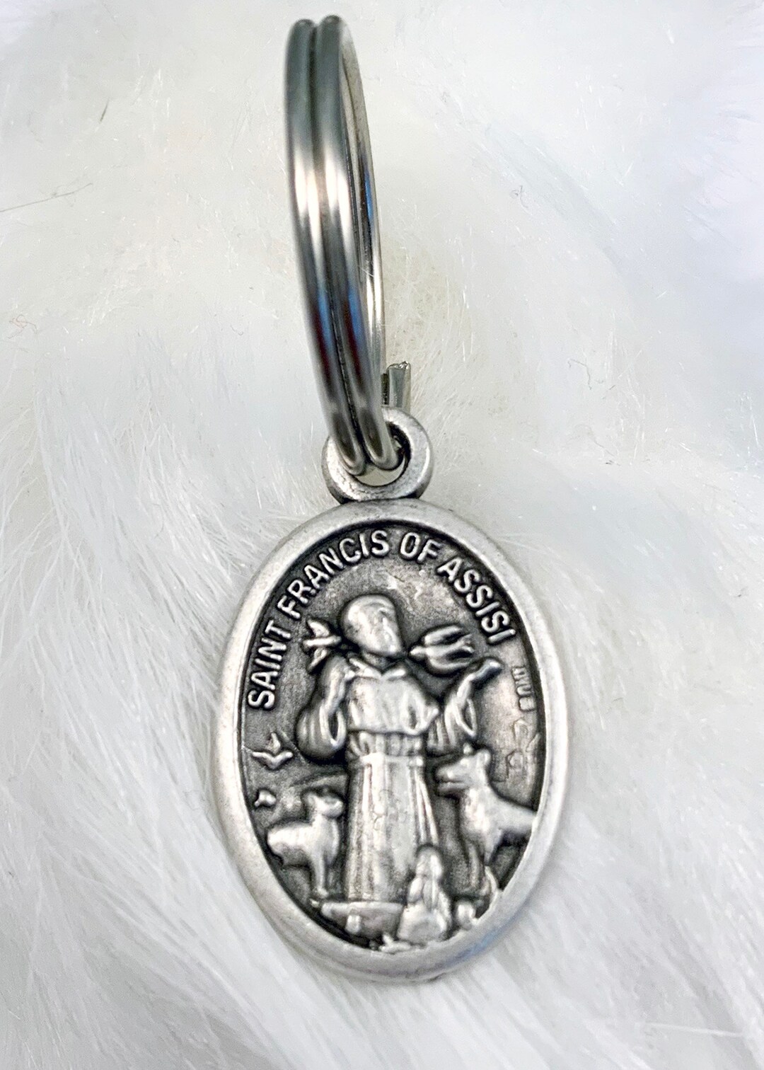 Pet Tag and Prayer Card St. Francis of Assisi Protect My Pet Dog Collar ...