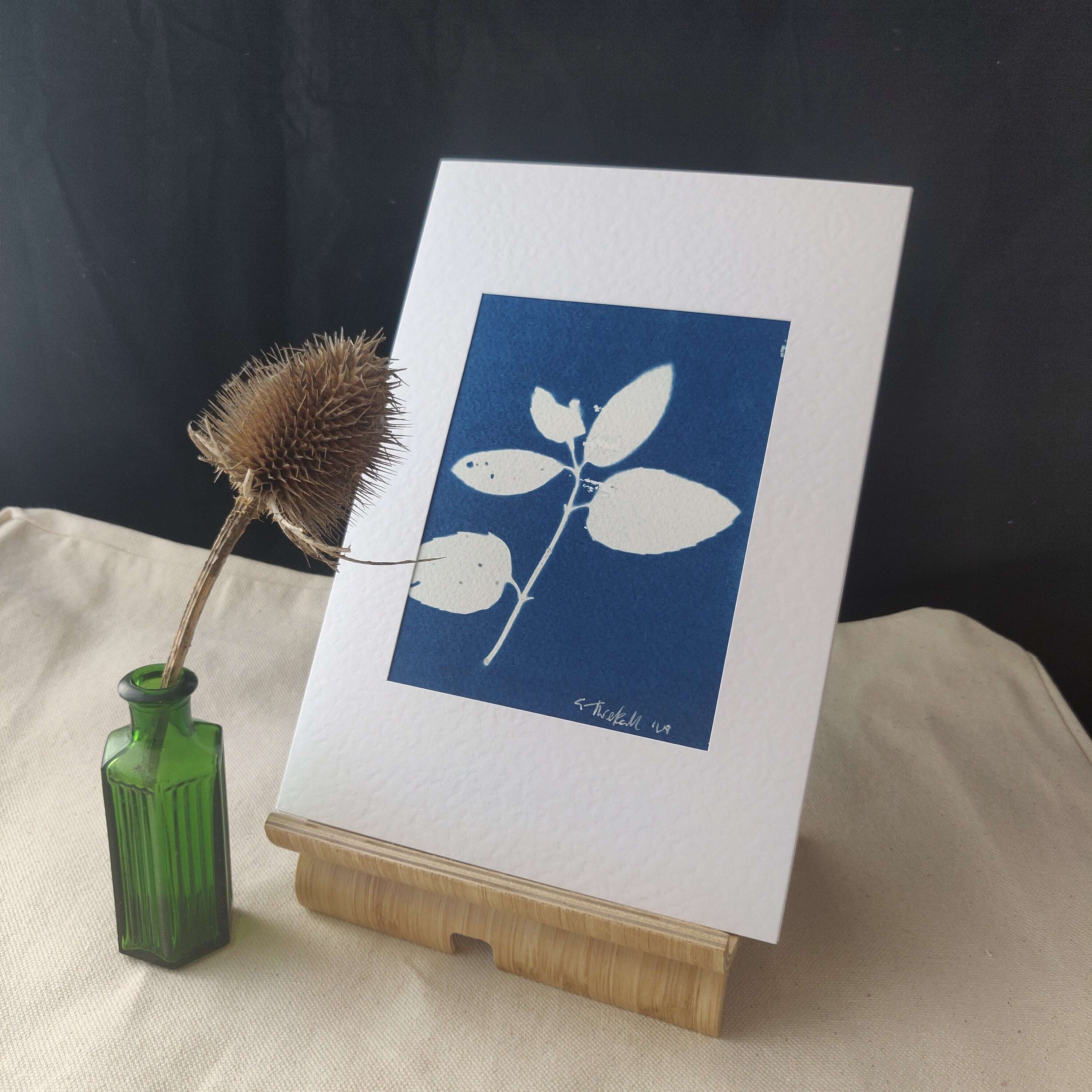 A5 Handmade Cyanotype Greetings Card Mint - Etsy UK