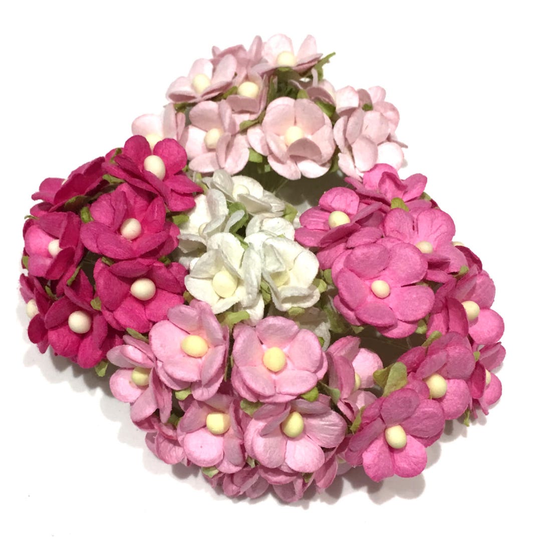 Pinks Bulk Pack Mixed Mulberry Paper Sweetheart Blossom Bl026 - Etsy