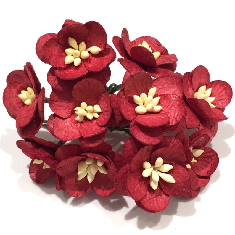 Vintage Red Mulberry Paper Cherry Blossom Bl046 - Etsy