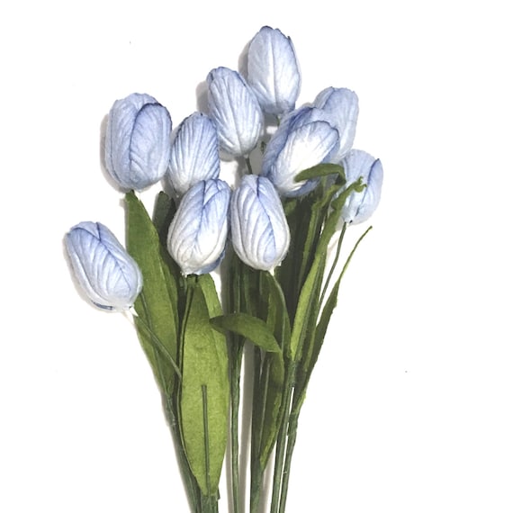 Light Blue Tulips