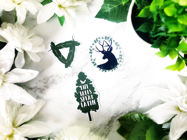 12. the Raven Cycle Vinyl Stickers Options Available | Etsy