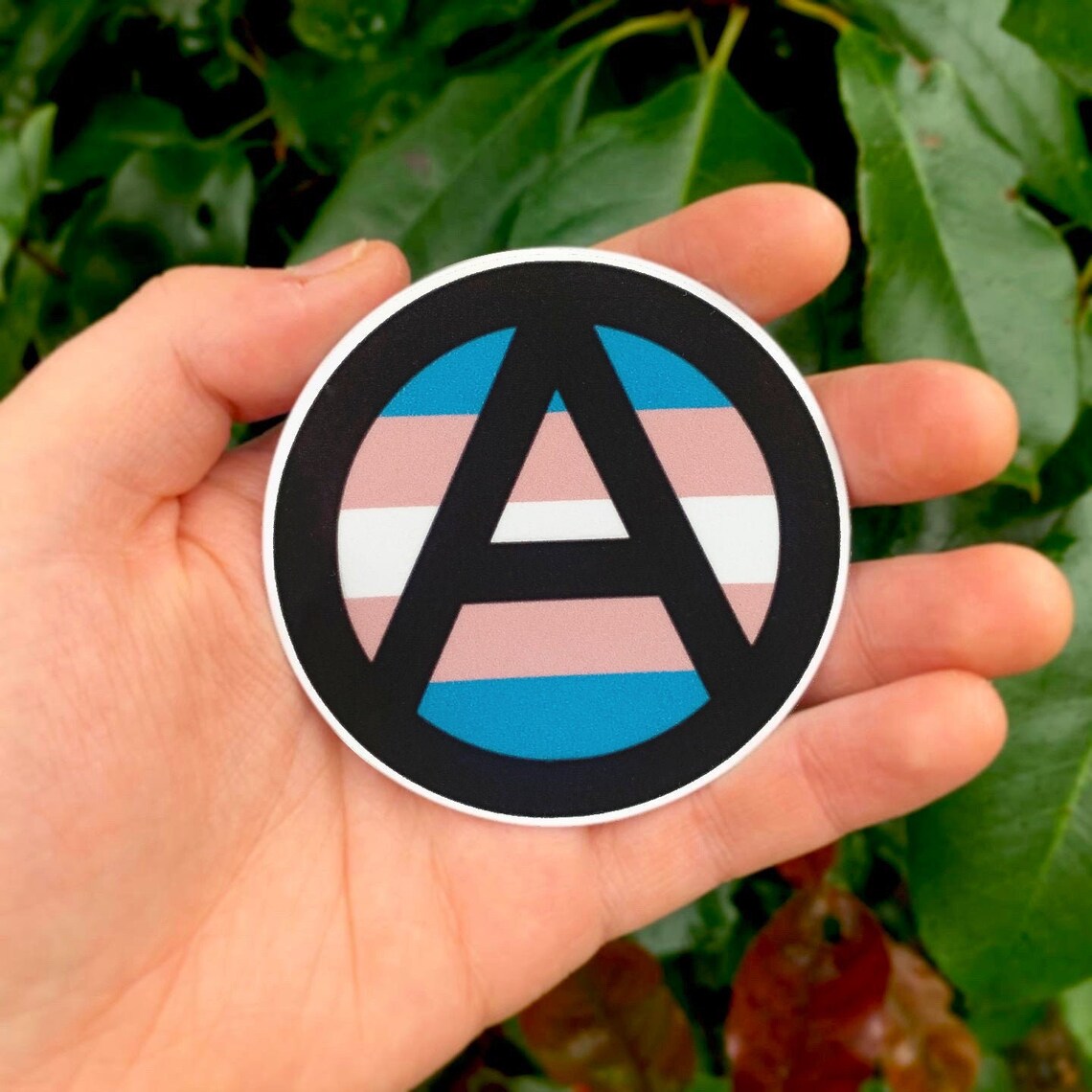 Trans Anarchy Sticker Transgender Flag Anarchism Vinyl Decal - Etsy