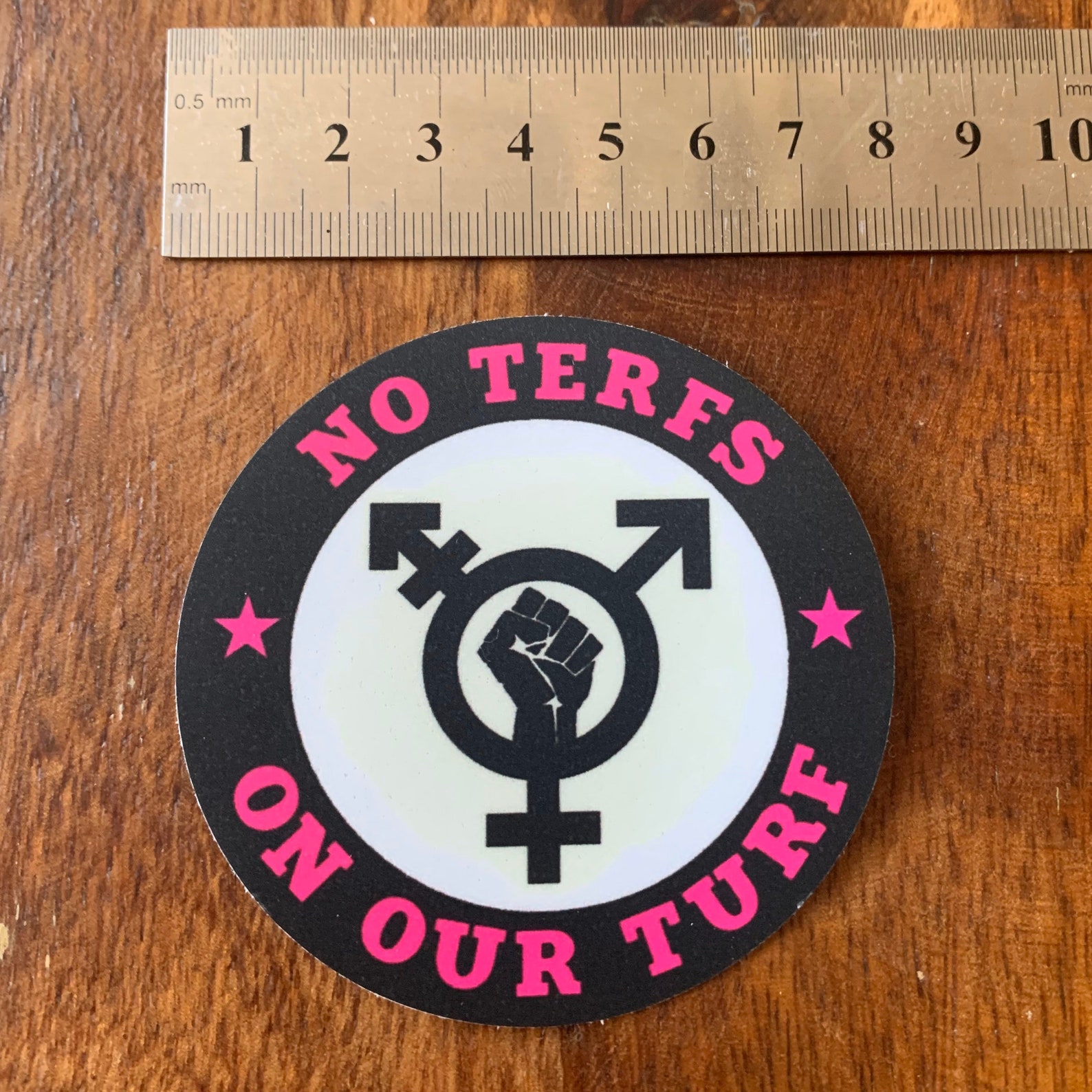 Trans Sticker no Terfs on Our Turf Vinyl Transgender Pride | Etsy