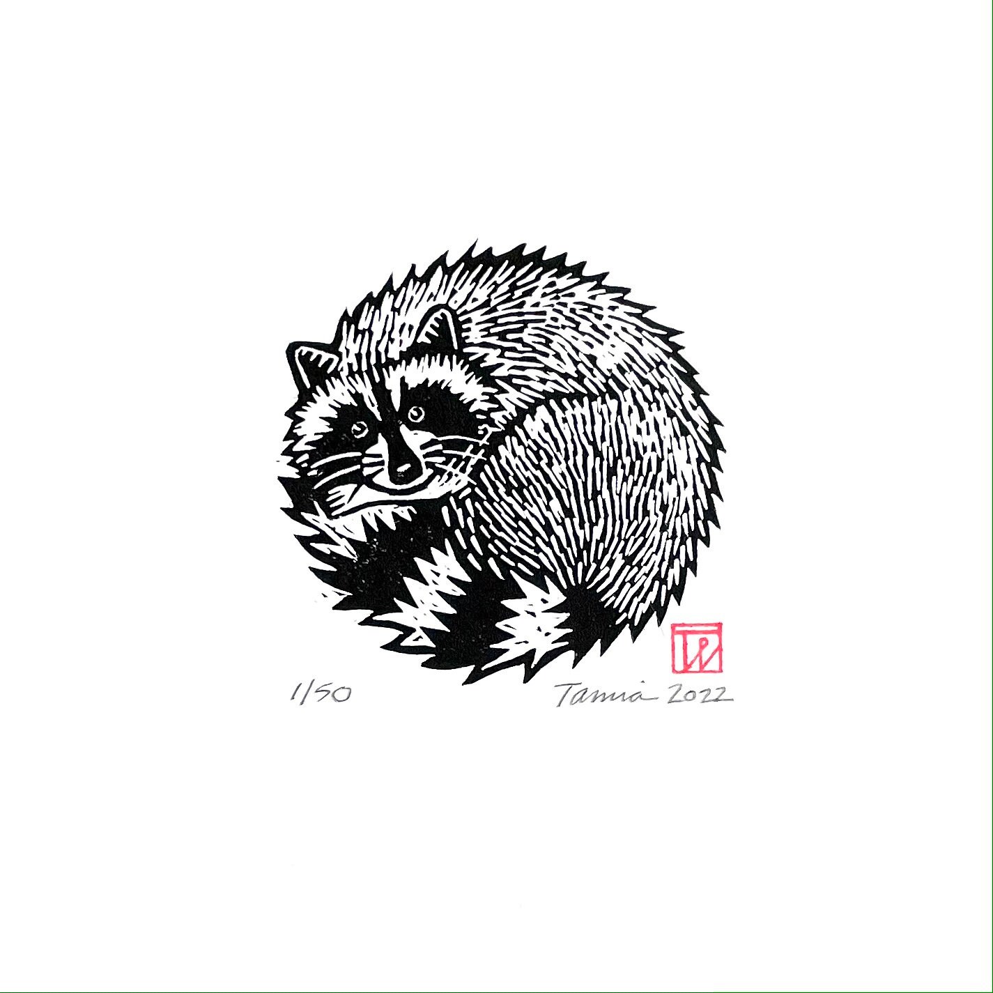 Raccoon Art Raccoon Linocut 5 X 7 Raccoon Art 5 X 5 Raccoon - Etsy