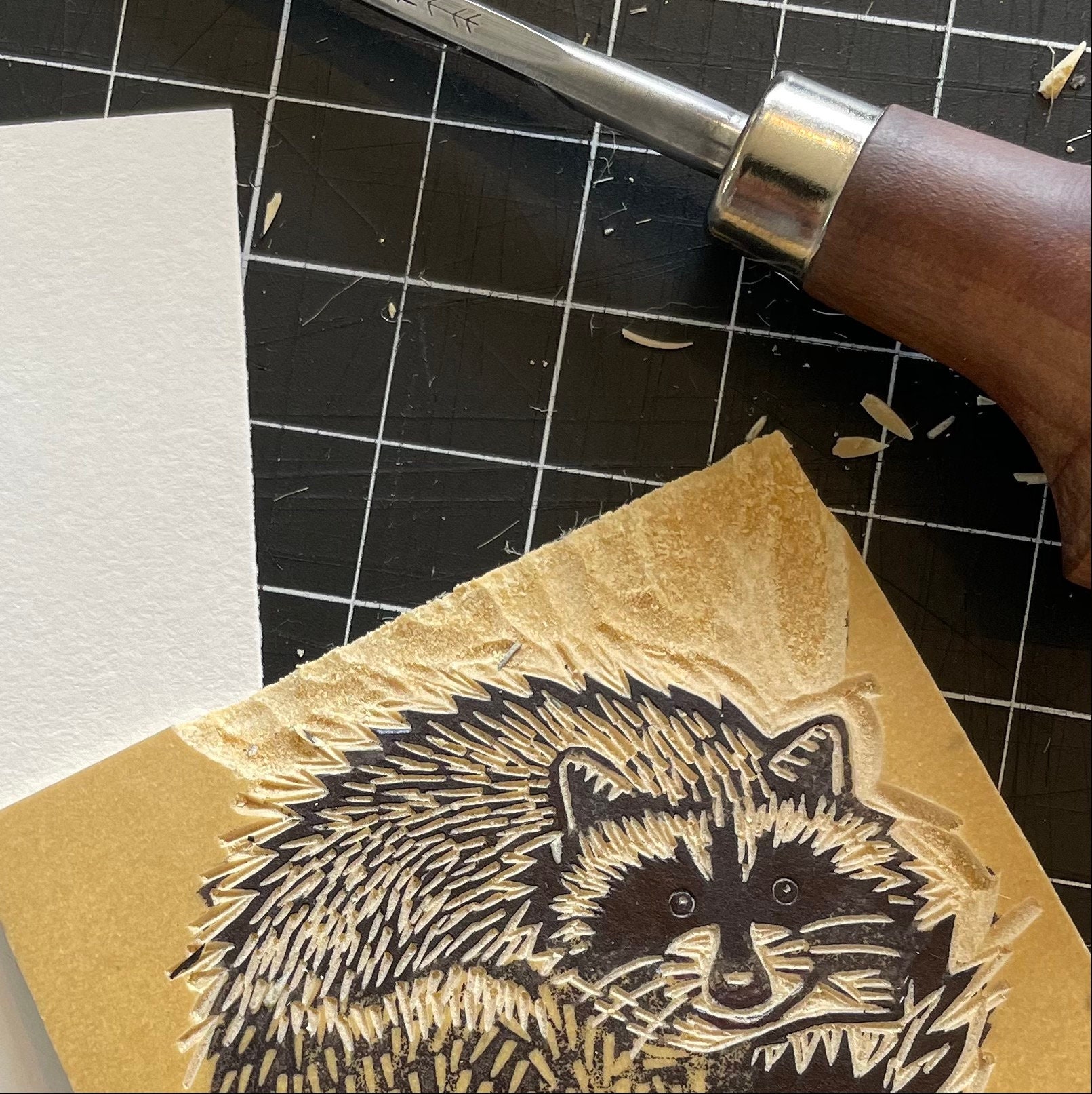 Raccoon Art Raccoon Linocut 5 X 7 Raccoon Art 5 X 5 Raccoon - Etsy