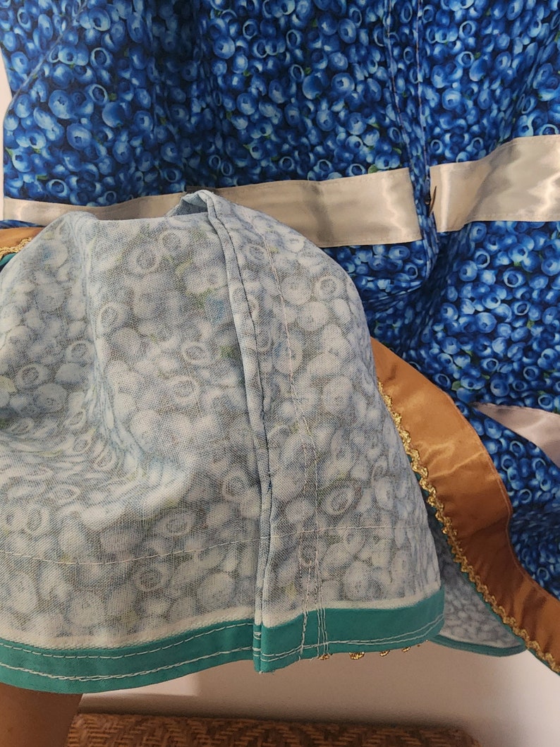 Ribbon Skirt Metis Indigenous Blueberries Berry Blue Pockets Buttons ...