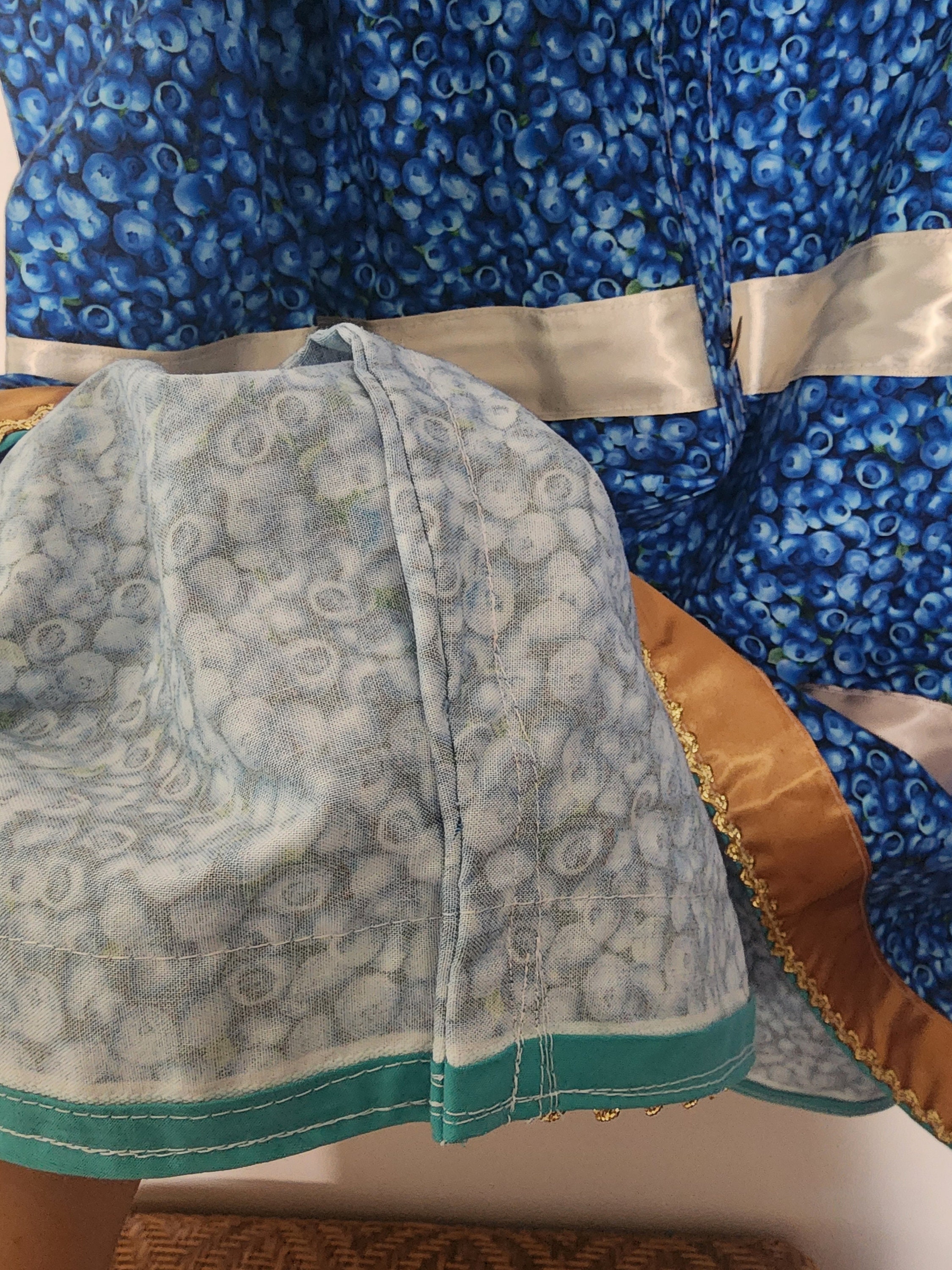 Ribbon Skirt Metis Indigenous Blueberries Berry Blue Pockets Buttons ...