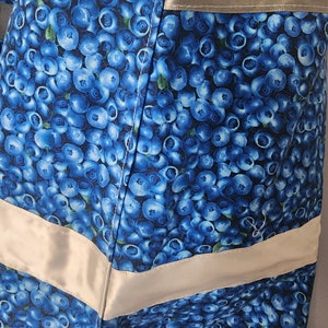 Ribbon Skirt Metis Indigenous Blueberries Berry Blue Pockets Buttons ...