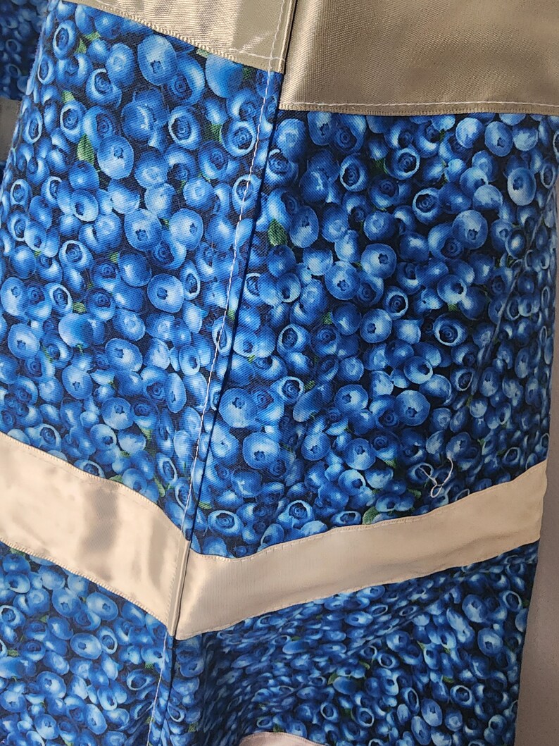 Ribbon Skirt Metis Indigenous Blueberries Berry Blue Pockets Buttons ...