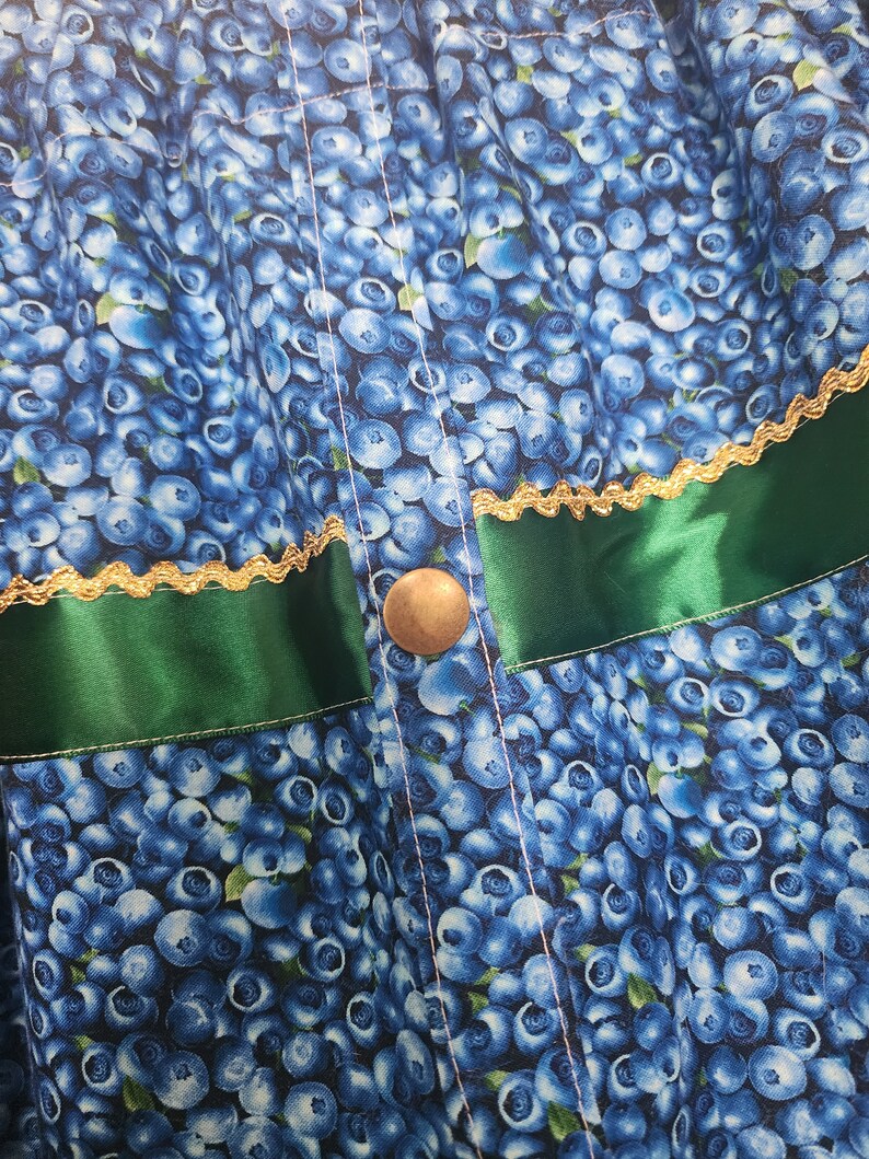 Ribbon Skirt Metis Indigenous Blueberries Berry Blue Pockets Buttons ...