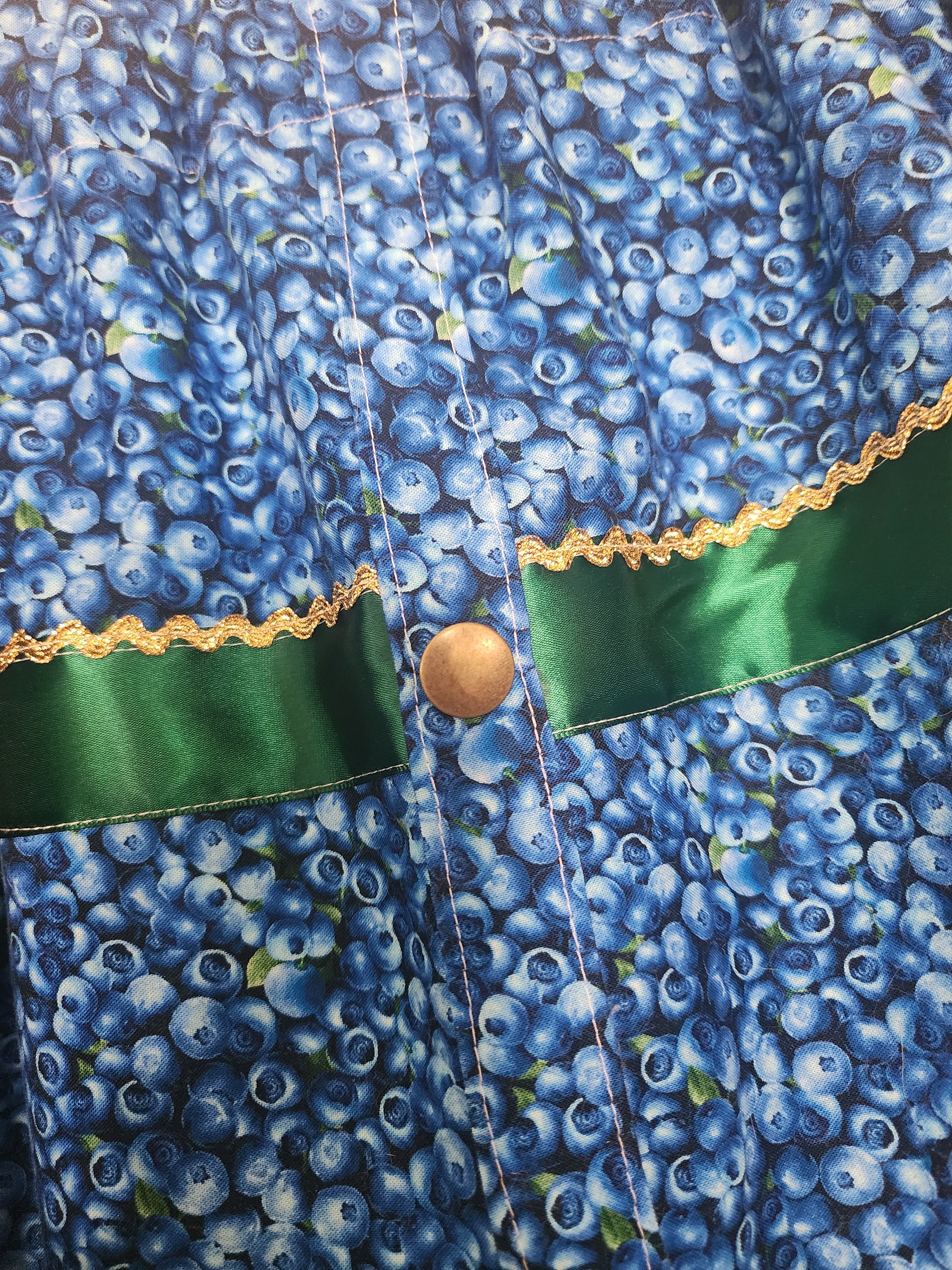 Ribbon Skirt Metis Indigenous Blueberries Berry Blue Pockets Buttons ...