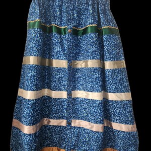 Ribbon Skirt Metis Indigenous Blueberries Berry Blue Pockets Buttons ...