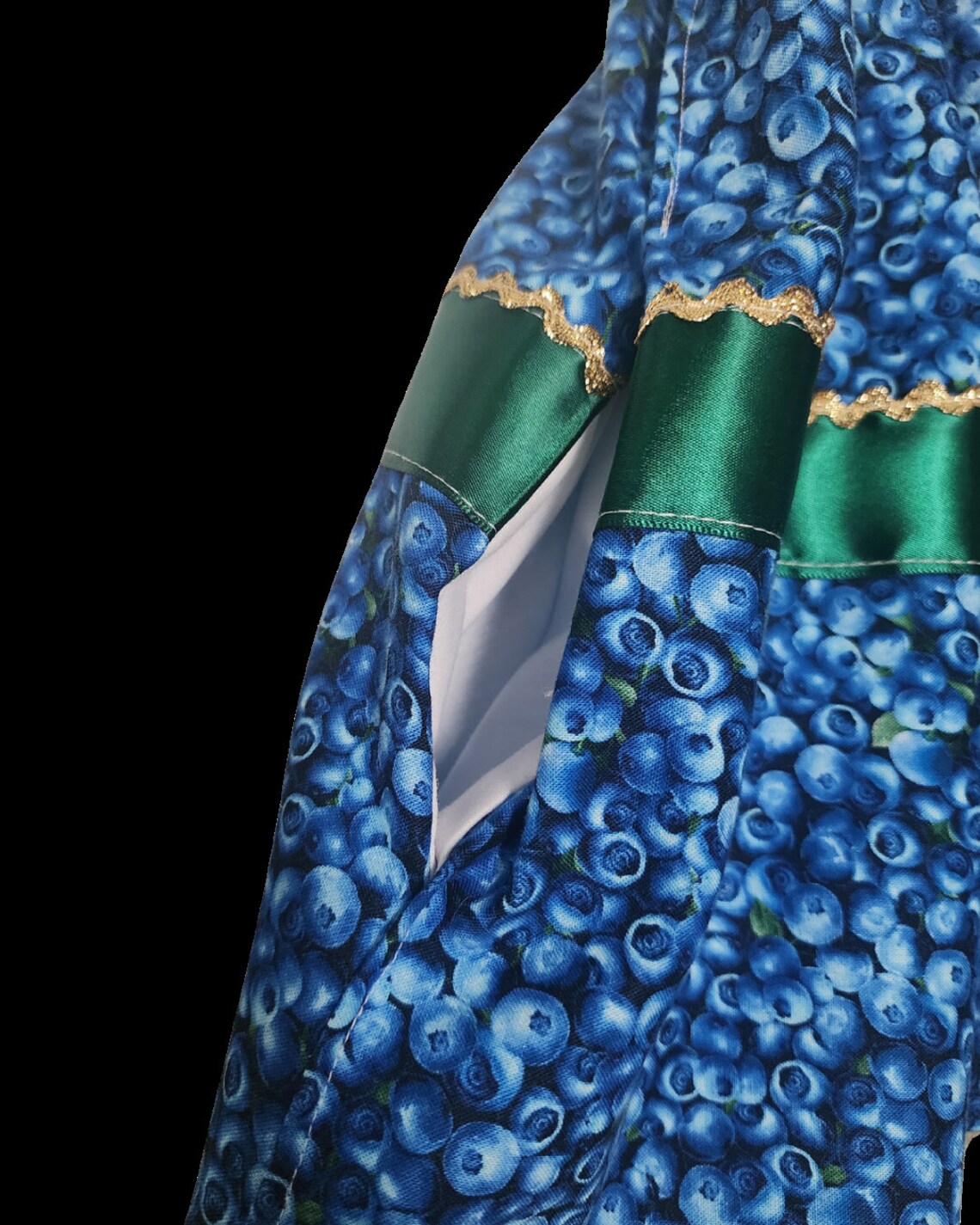 Ribbon Skirt Metis Indigenous Blueberries Berry Blue Pockets Buttons ...