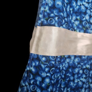 Ribbon Skirt Metis Indigenous Blueberries Berry Blue Pockets Buttons ...