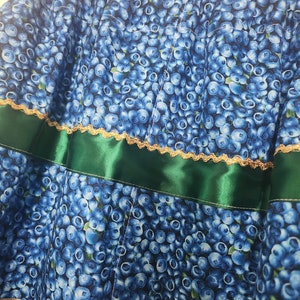 Ribbon Skirt Metis Indigenous Blueberries Berry Blue Pockets Buttons ...