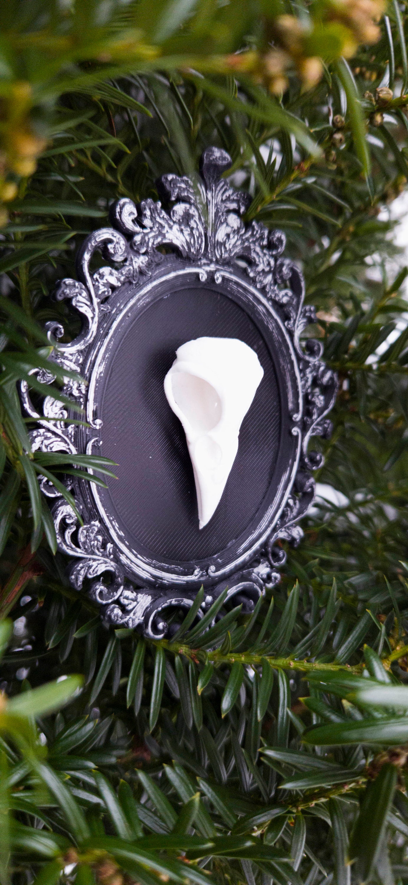 Gothic Victorian Raven Skull Frame louis - Etsy