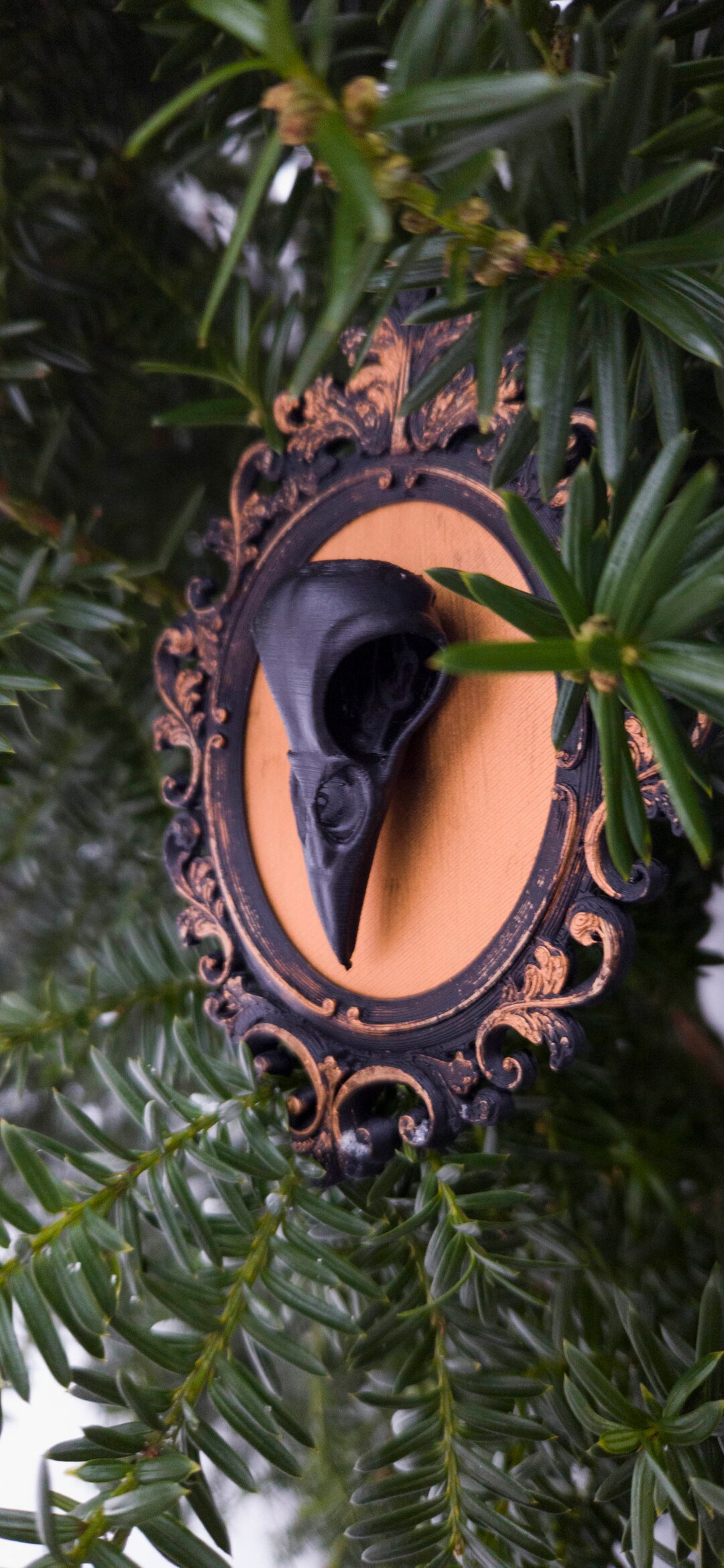 Gothic Victorian Raven Skull Frame pierre - Etsy