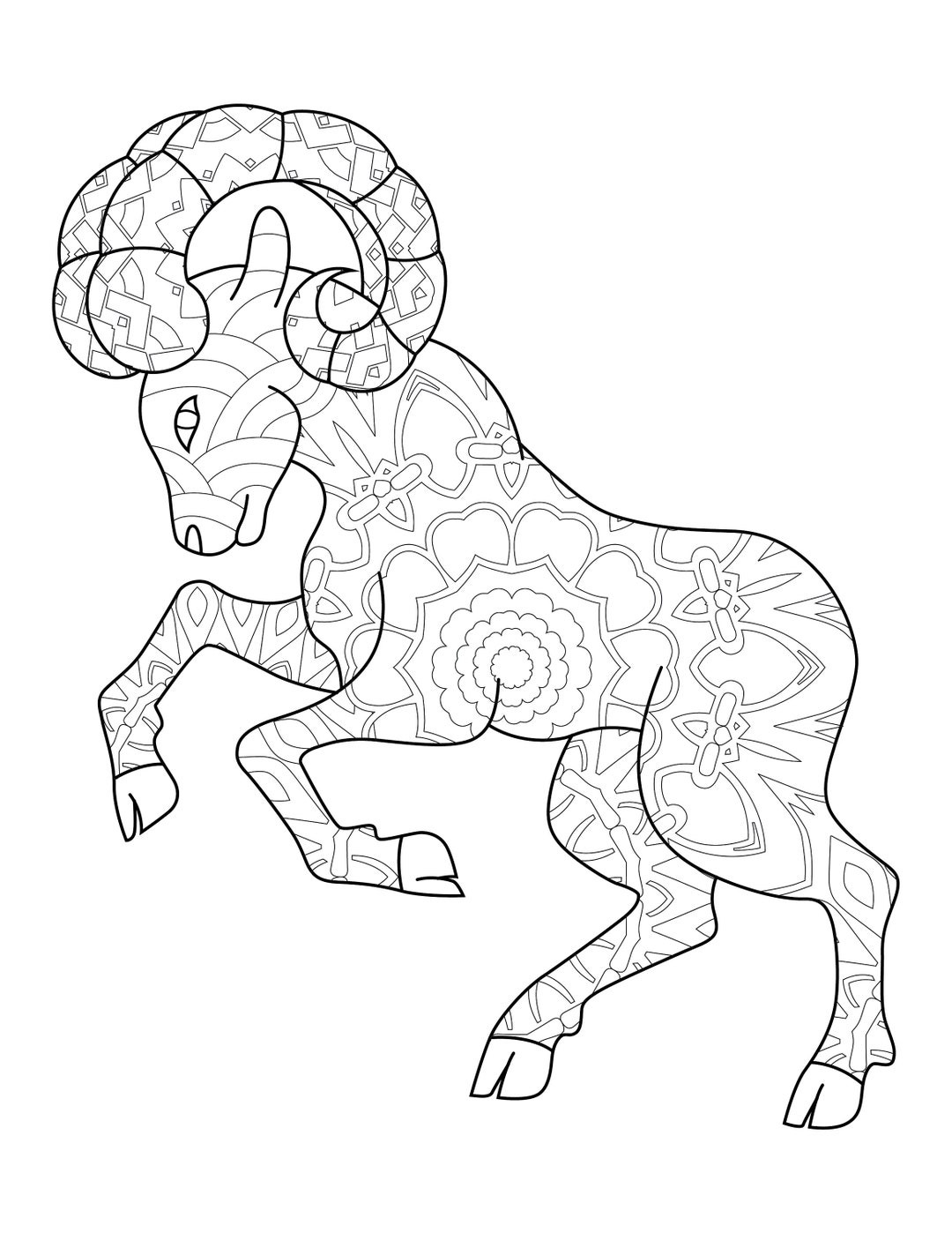 Animal Coloring Pages, 12 Zen Coloring Pages, Digital Coloring, Instant ...