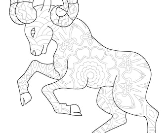 Polar Bear Coloring Page/ Zen Coloring/ Digital Download Coloring Page ...