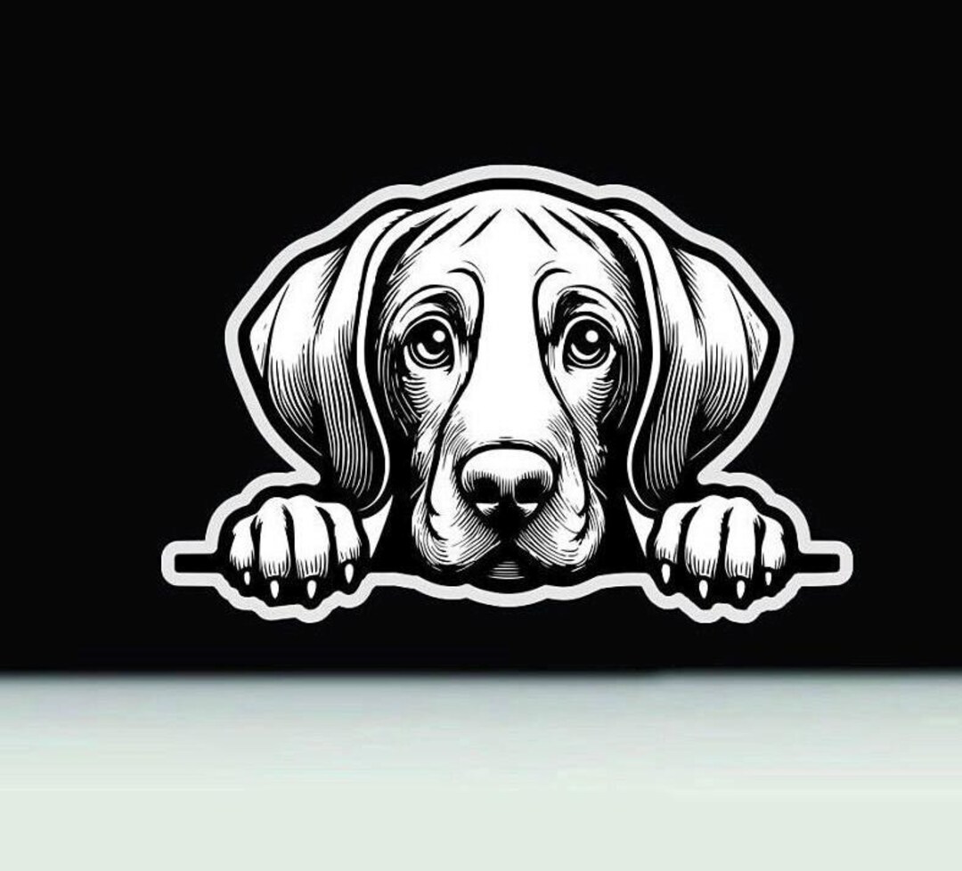 Vizsla Peeking Vinyl Sticker | Vizsla Dog Bumper Sticker | Vizsla Vinyl ...