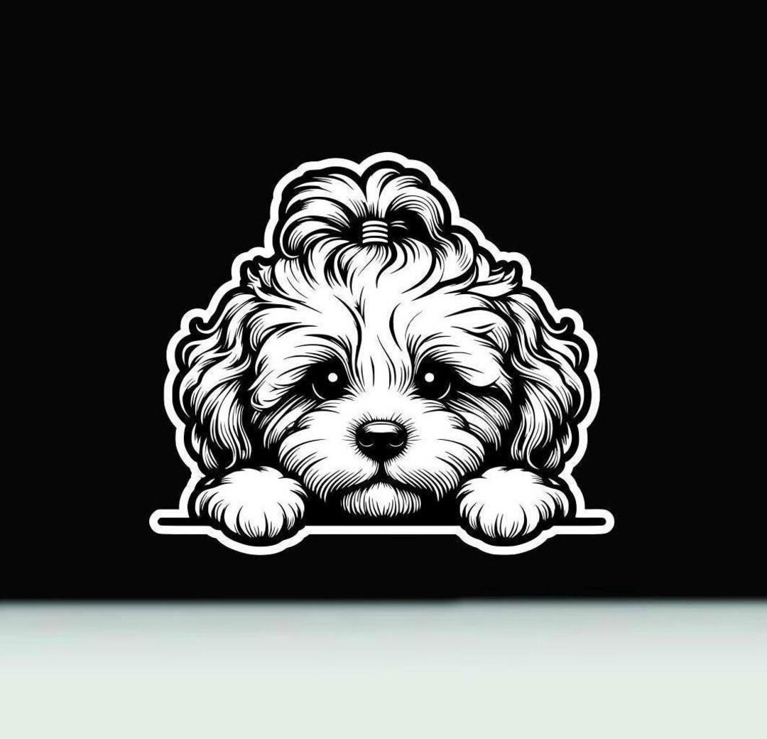 Cavapoo Peeking Vinyl Sticker | Cavapoo Dog Bumper Sticker | Cavapoo ...