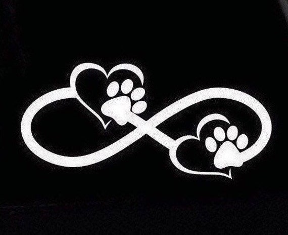 Infinity Paw Print Vinyl Sticker Paw Print Bumper Sticker - Etsy