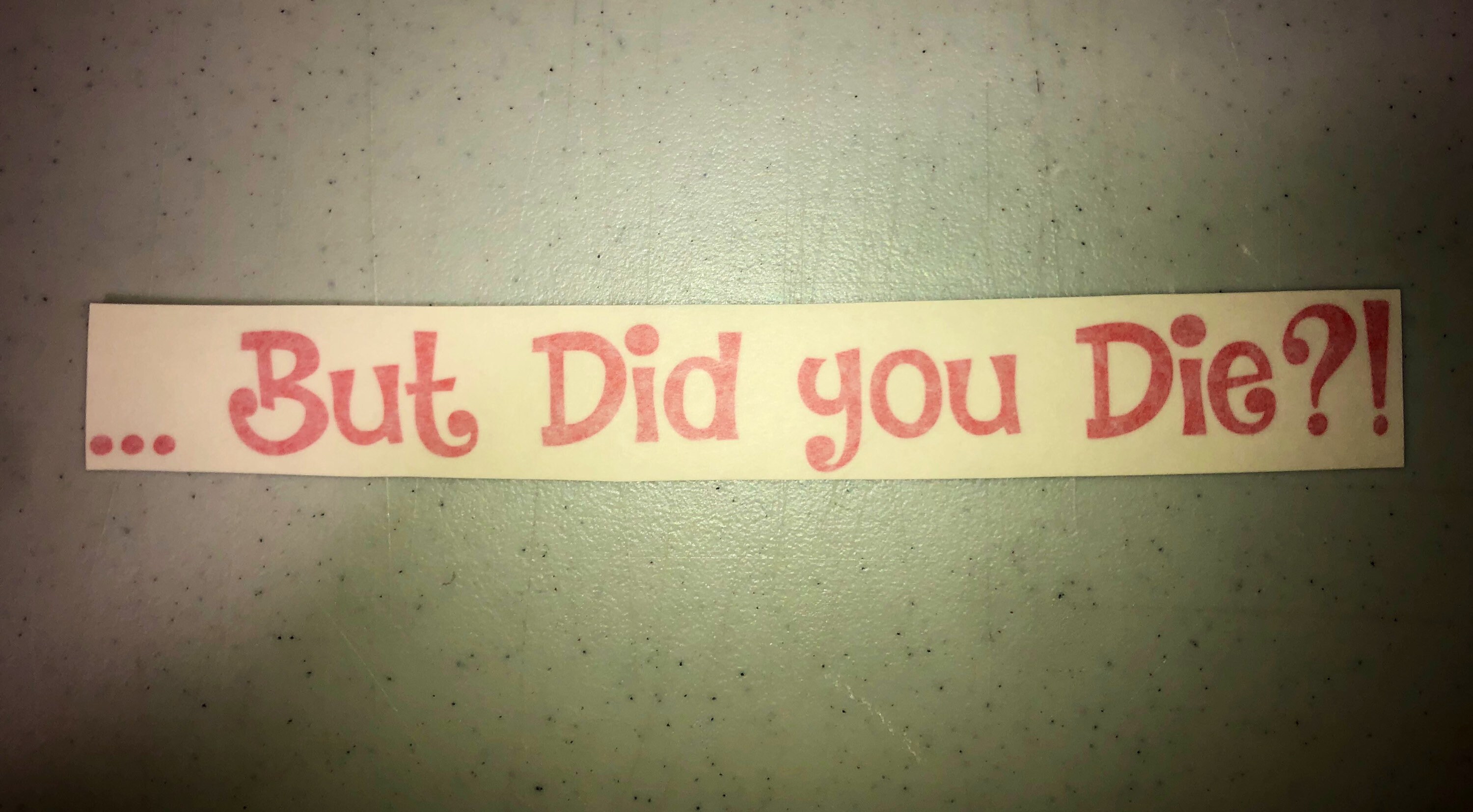 Did you die bumper sticker But did you die vinyl decal | Etsy