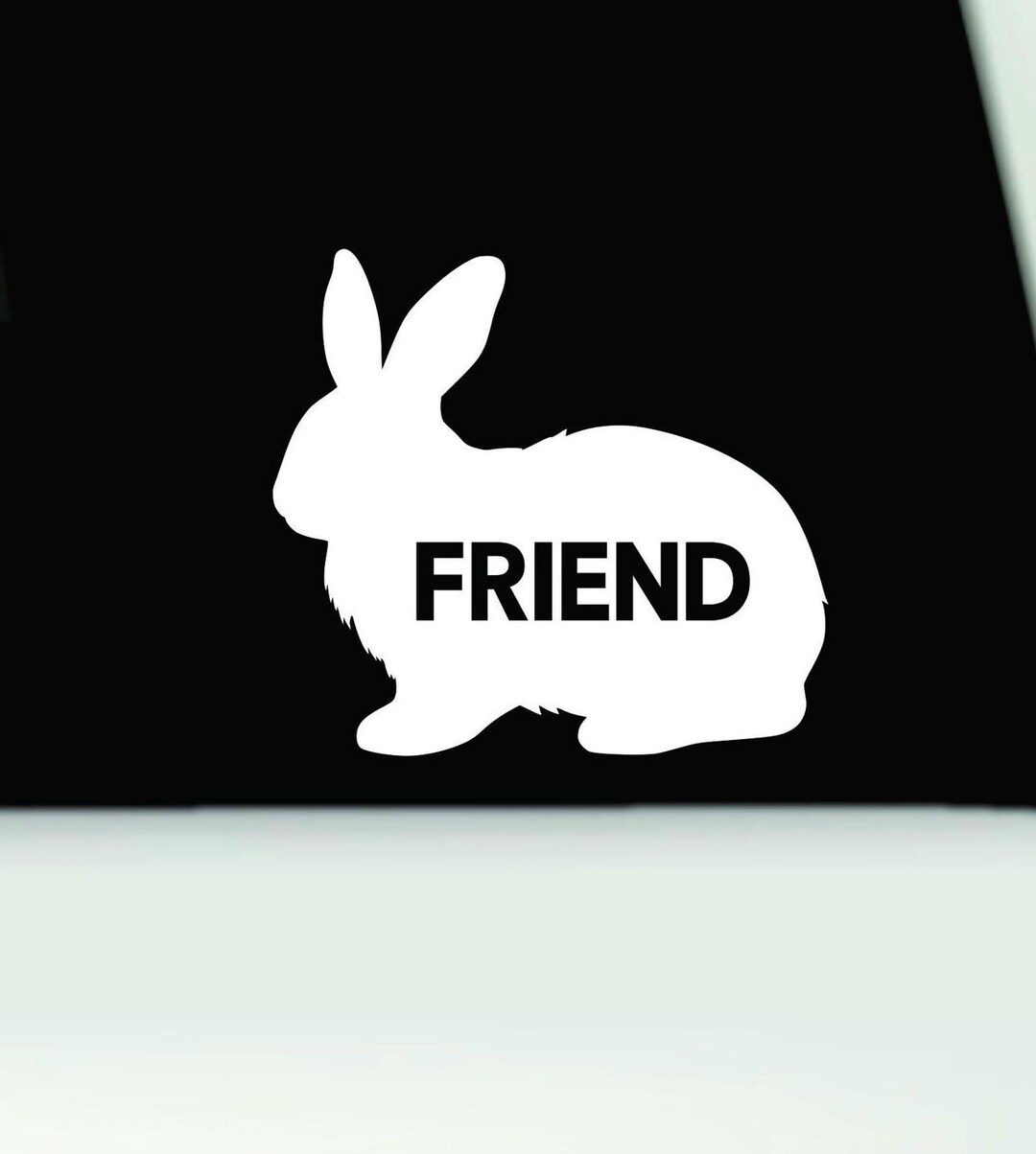 Rabbit Vinyl Decal | Rabbit Friend Car Truck Window Decal Sticker ...