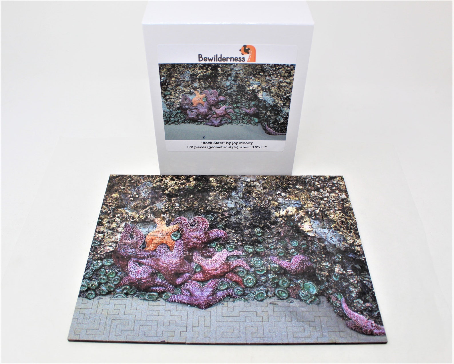 Marine Life Wood Jigsaw 173 Piece Wooden Puzzle for Adults | Etsy