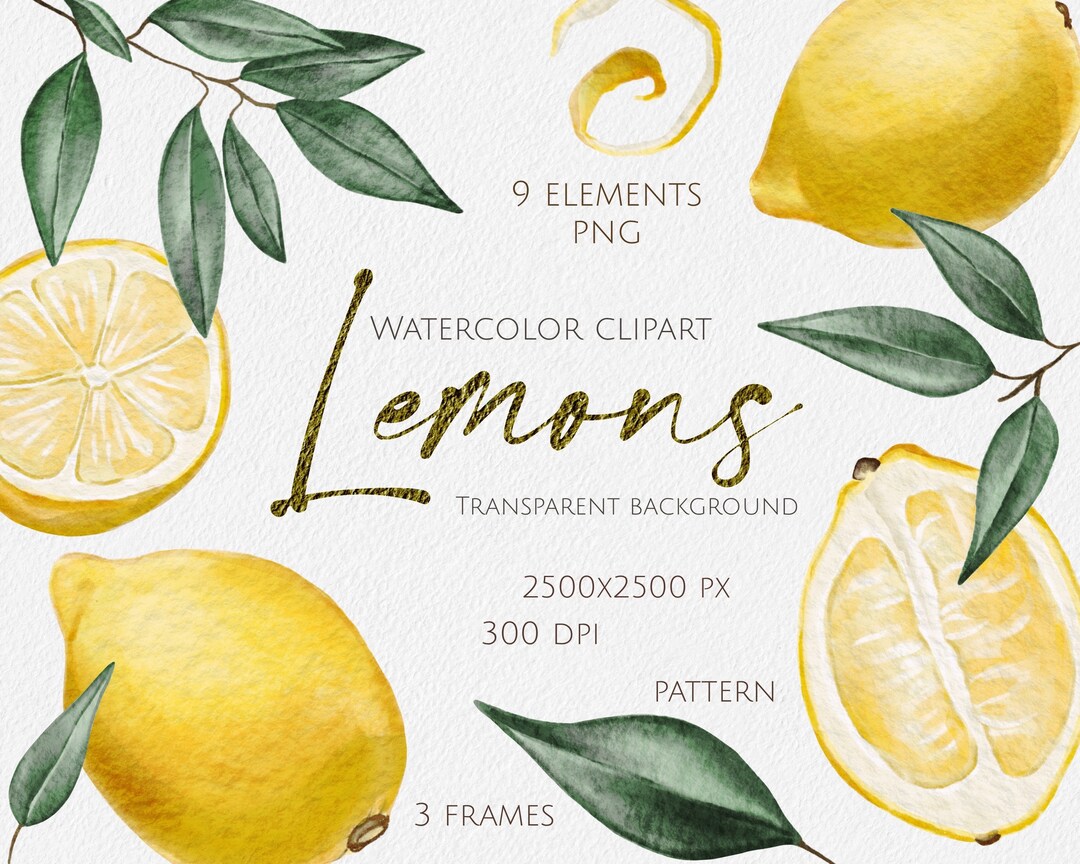 Watercolor Clipart Lemon Clipart Summer Clipart Botanical Frames ...