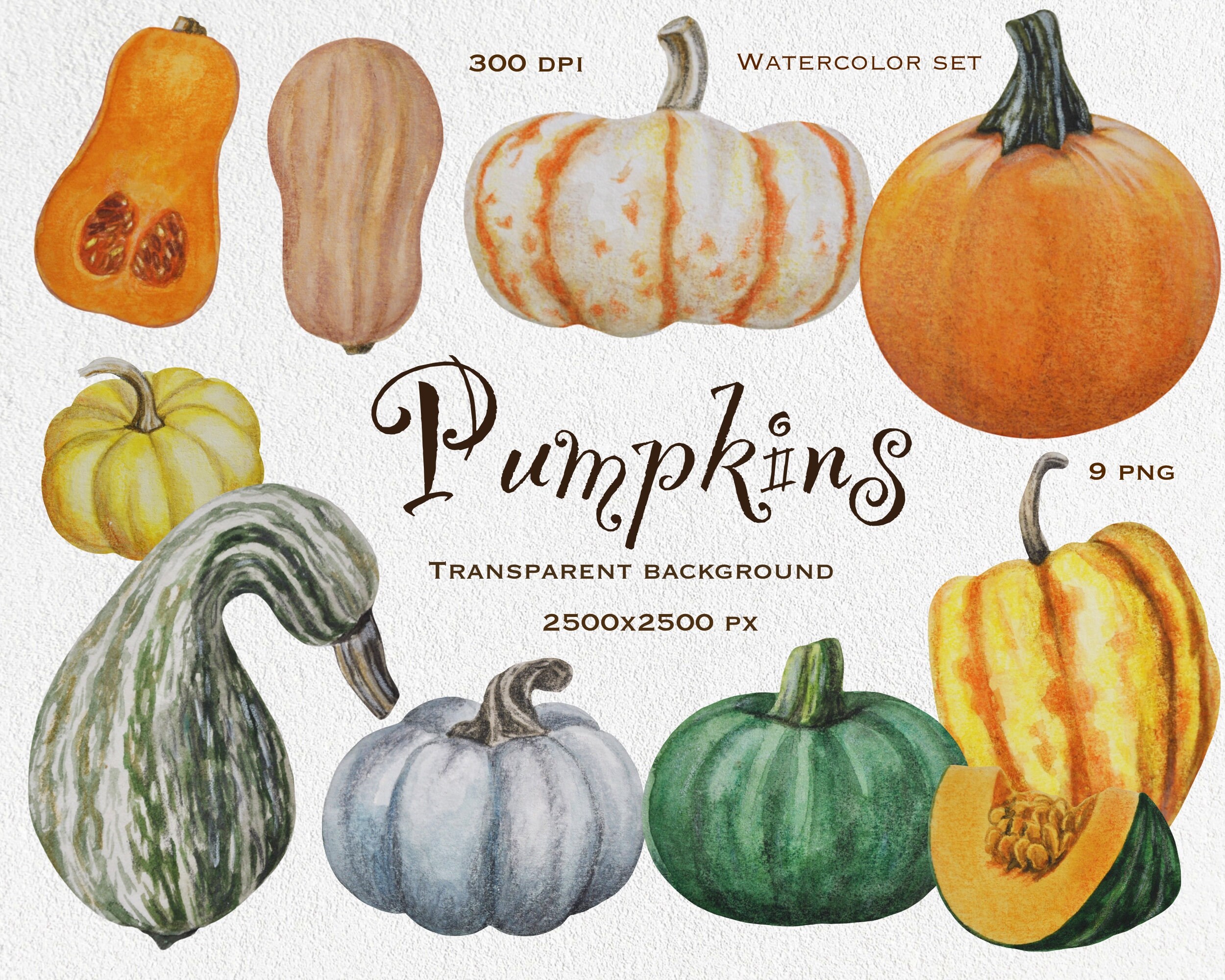 Watercolor Clipart Illustration Pumpkin Thanksgiving Day PNG Printable ...