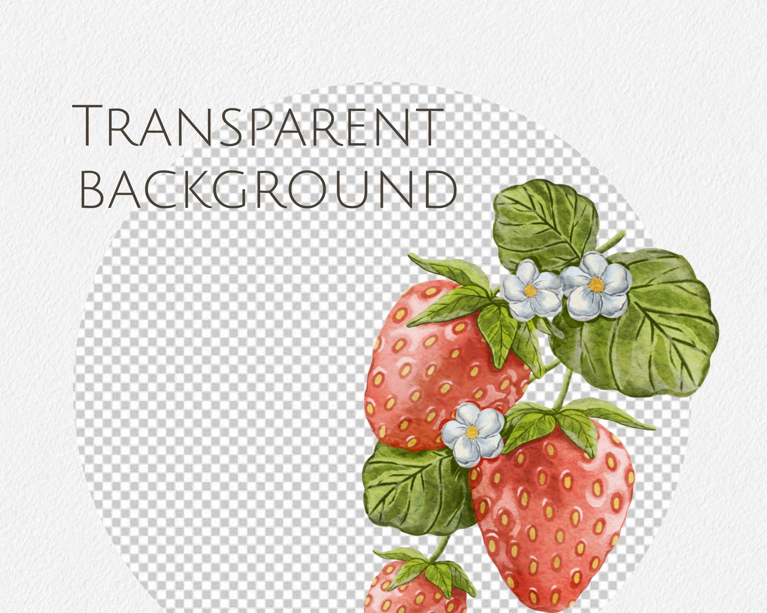 Watercolor Clipart Watercolor Illustration Strawberry Clipart Seamless ...