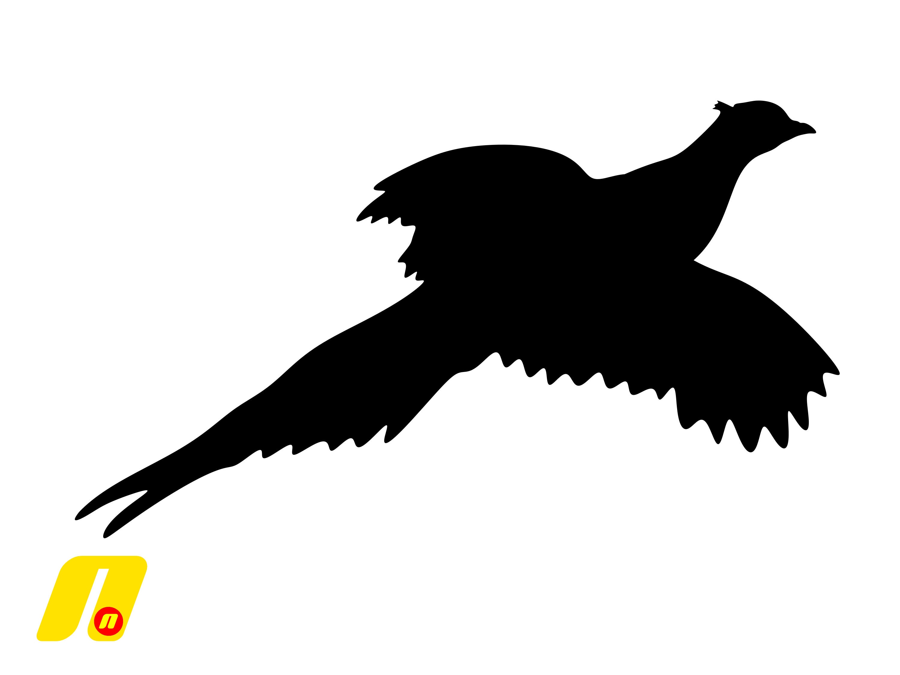 Pheasant Flying Silhouette