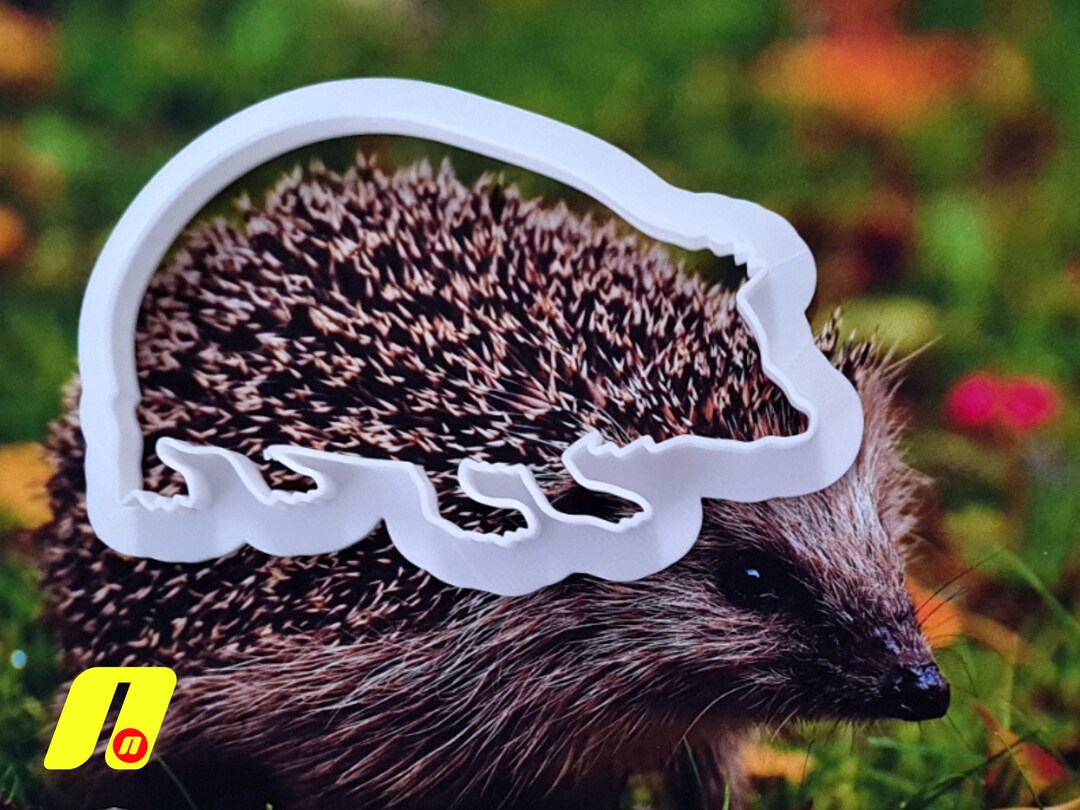 Hedgehog Fondant Cutter, Spiny Mammal, Hedgehog Sanctuary, Declining ...
