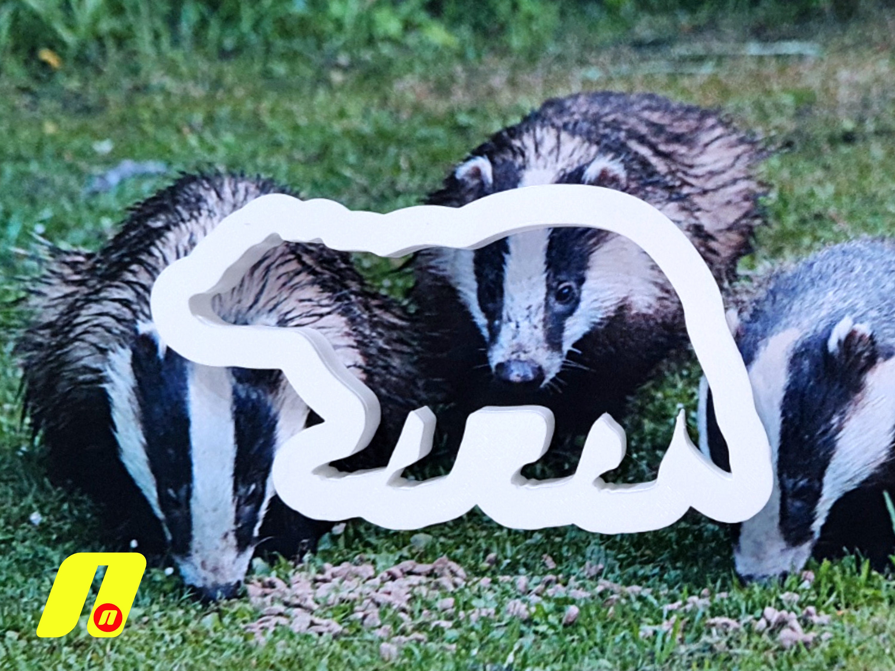 Badger Fondant Cutter Badger Conservation Save Brock the - Etsy UK