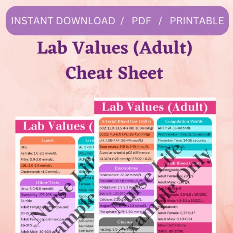 Lab Values Cheat Sheet adult Bright & Organised Pathology Guide - Etsy