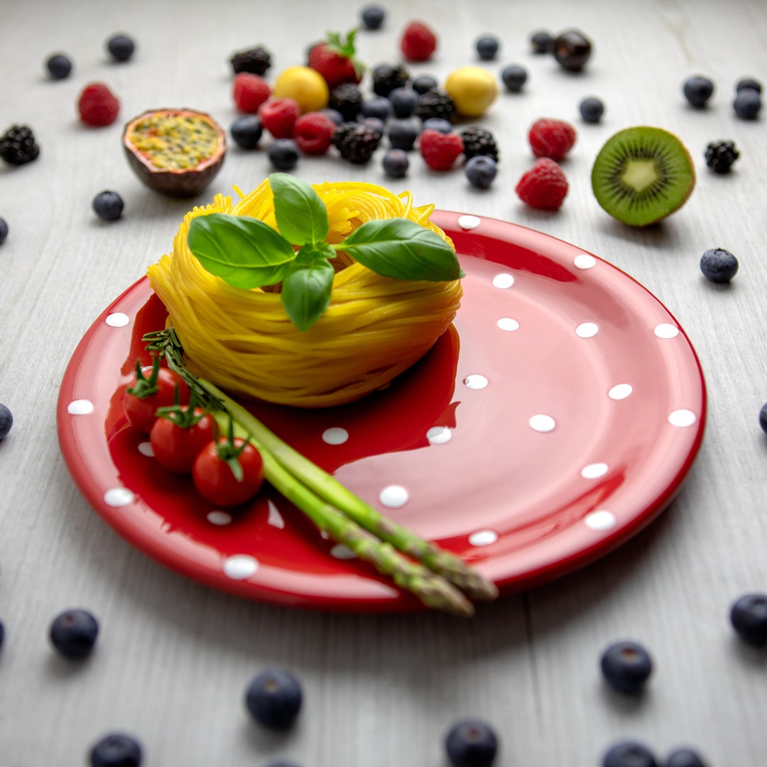 Ceramic Dinner Plate | Decorative Plate | Hand Thrown Stoneware, 10 ...