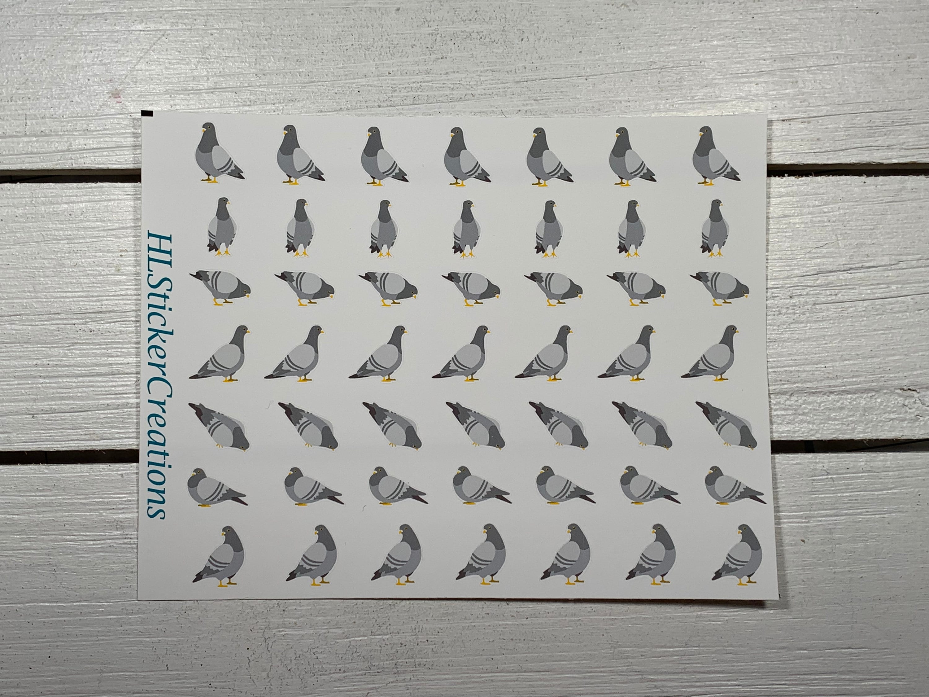 Pigeon Stickers Pigeon Bird birds Pigeons | Etsy