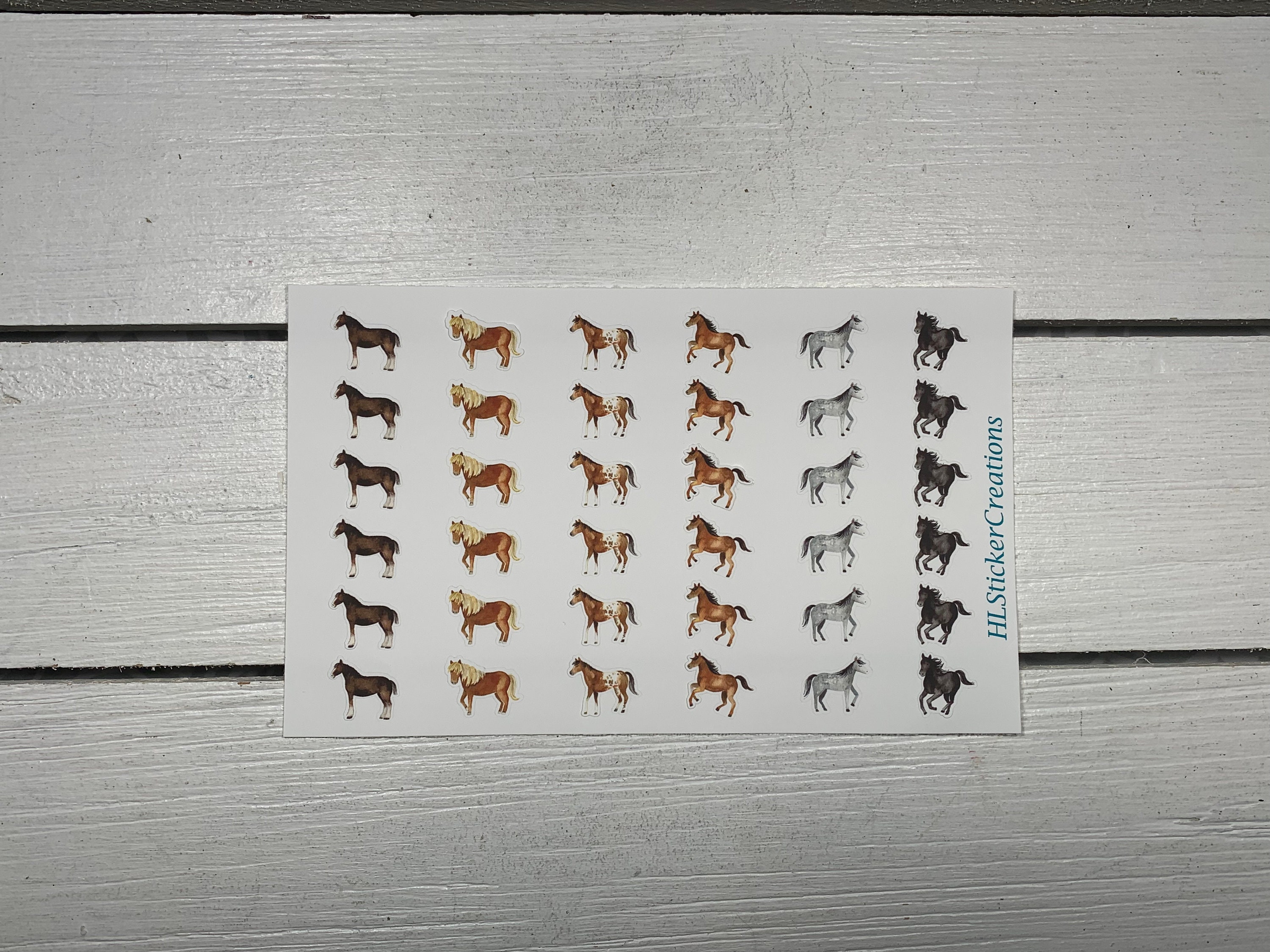 Horse Stickers, Horse Show, Horses, Horse, Horse Competition, - Etsy
