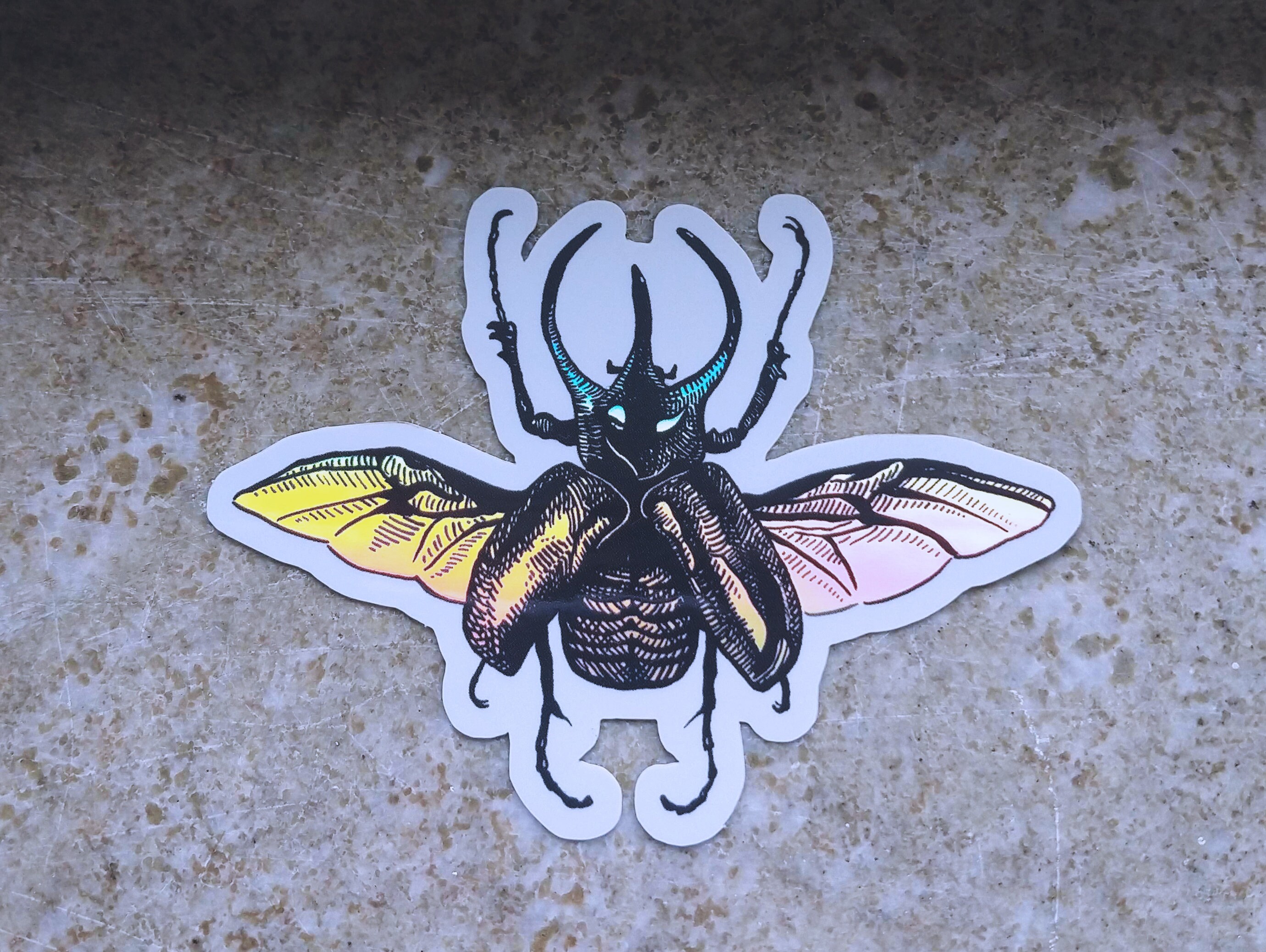 Holographic Beetle Sticker Big Vinyl Holographic Sticker | Etsy