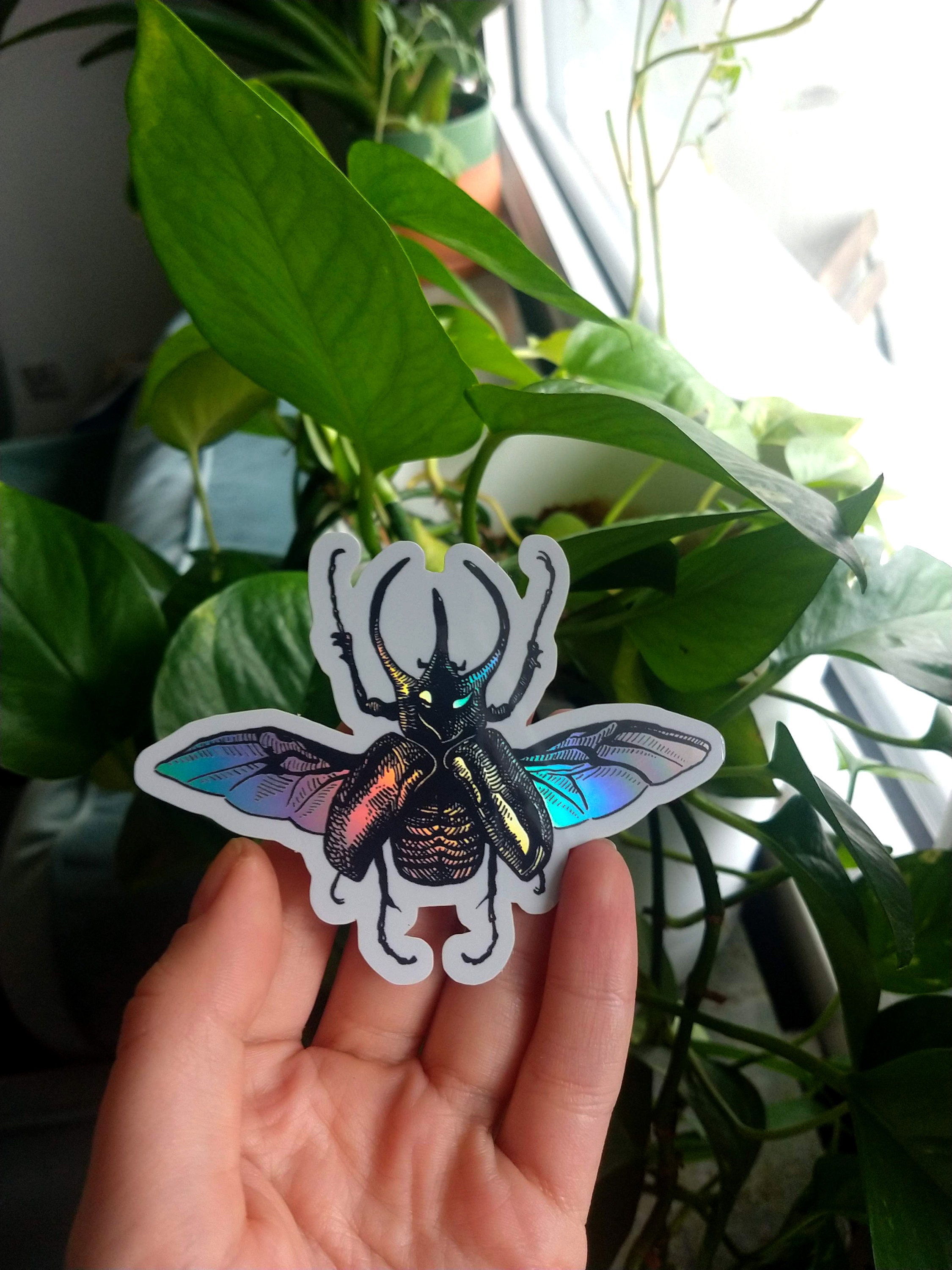 Holographic Beetle Sticker Big Vinyl Holographic Sticker | Etsy