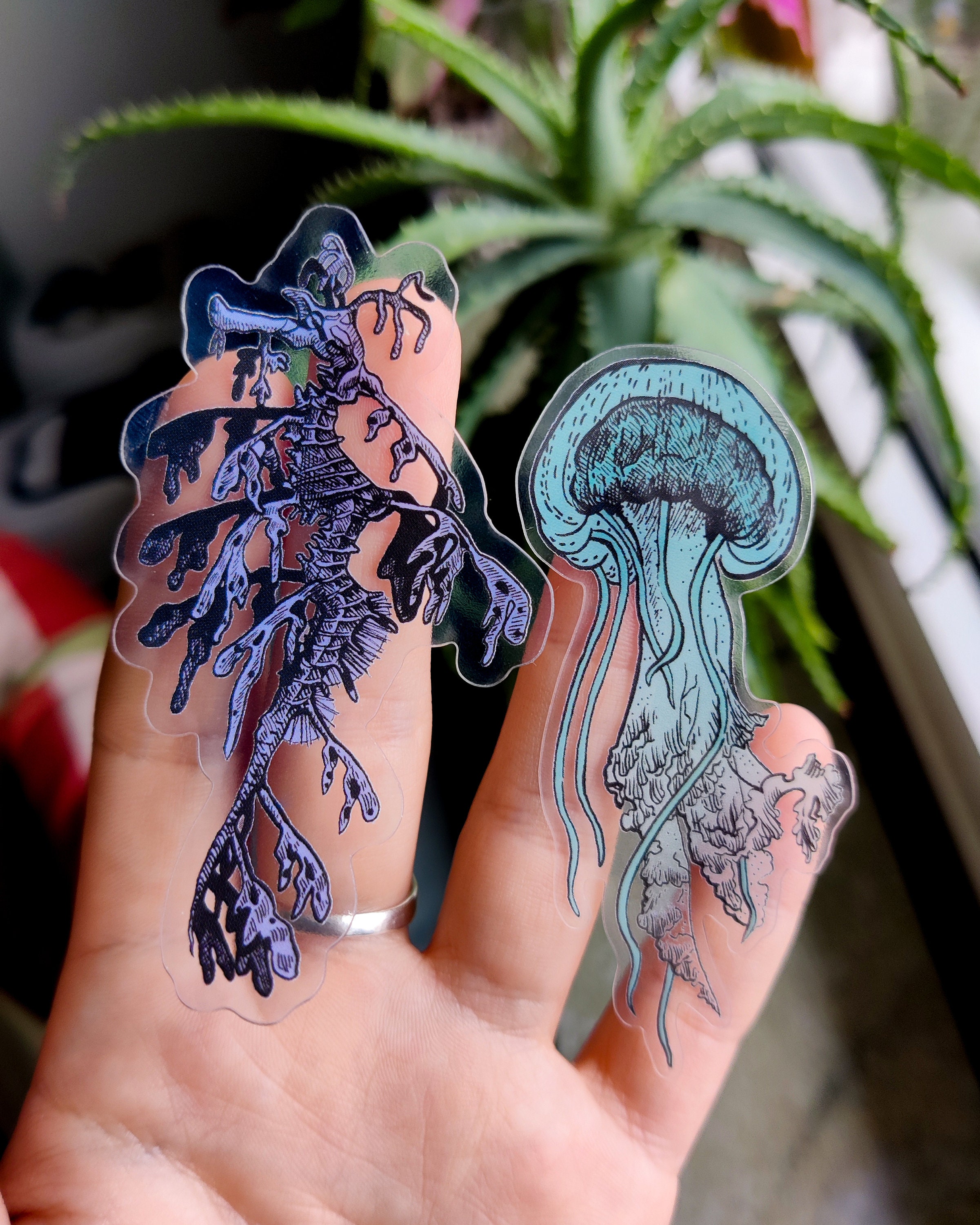 Jellyfish Sticker Transparent Sea Animal Sticker Clear | Etsy